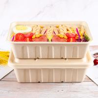 China Leakproof Microwavable Biodegradable Take Out Boxes for sale