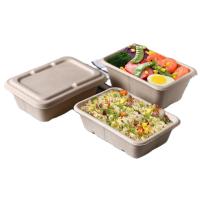 China Compostable Eco Friendly Greaseproof Bagasse Takeaway Boxes for sale