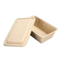 China Heavy-Duty Quality To Go Containers Eco-Friendly Made Of Sugar Cane Fibers for sale