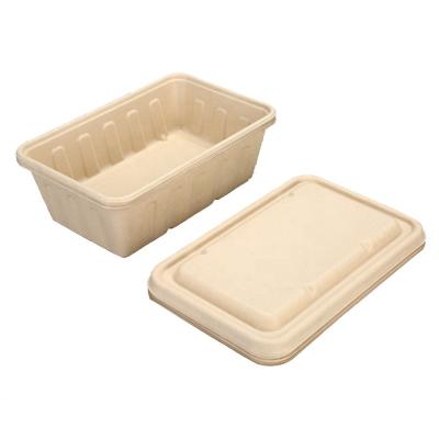 China Heavy-Duty Quality To Go Containers Eco-Friendly Made Of Sugar Cane Fibers for sale
