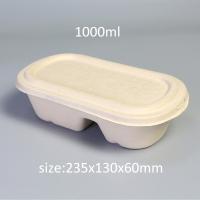China Disposable Salad Sugarcane Bio Takeaway Containers for sale