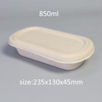 China Disposable Salad Sugarcane Bio Takeaway Containers for sale