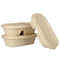 China Disposable Salad Sugarcane Bio Takeaway Containers for sale