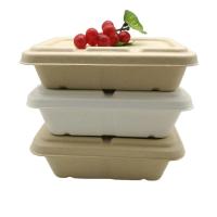 China Eco Friendly 500ml Sugarcane Takeaway Containers For Restaurant for sale