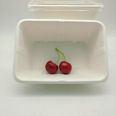 China Disposable Biodegradable Microwavable Sugarcane Food Trays for sale