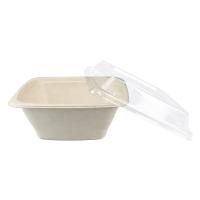China Clear Lid Disposable SGS Compostable Food Containers for sale
