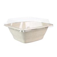 China Clear Lid Disposable SGS Compostable Food Containers for sale
