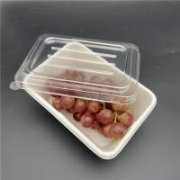 China Sanitary Rectangular Biodegradable Takeaway Containers for sale