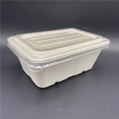 China Environmental Rectangle Biodegradable Bagasse Food Containers for sale