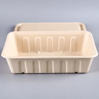 China Microwavable Freezer 2500ML Bagasse Food Containers With Lid for sale