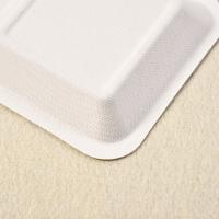 China Takeout Eco Friendly Disposable 110mm Sugarcane Pulp Plates for sale