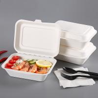China 600ml Takeaway White Clamshell Lunch Food Box Sugar Cane Fiber for sale