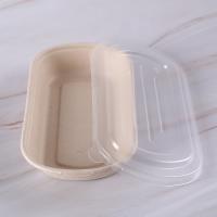 China TUV  500ml Oval Bagasse Pulp Food Containers With PET Lid Cover for sale