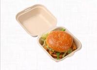 China Biodegradable Sugarcane Pulp Paper Burger Box with Connected Lid for sale