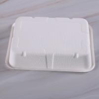 China 600ml Takeaway White Clamshell Lunch Food Box Sugar Cane Fiber for sale