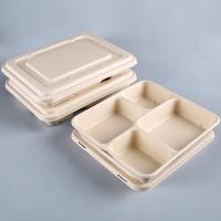 China Catering Leak Proof 4 Compartment Pulp Food Containers Oil Absorbing for sale