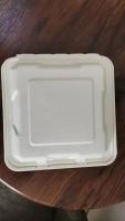 China BBQ 3 Compartment Sugarcane  Pulp Food Containers Logo Imprintable for sale