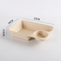 China Biodegradable Bagasse Food Container with Sauce Cup for Take Away for sale