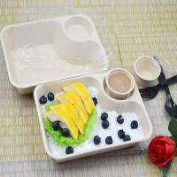 China Biodegradable Bagasse Food Container with Sauce Cup for Take Away for sale
