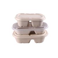 China 2 Compart Leak Resistance Sugarcane  Restaurant Supply Take Out Containers for sale