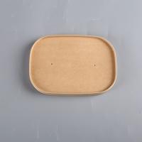 China SGS 650ml Square Compostable Biodegradable Take Away Containers Packaging for sale