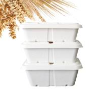 China 500ml Fast Food Sugarcane  Takeout Pulp Food Containers for sale
