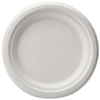 China Compostable 10