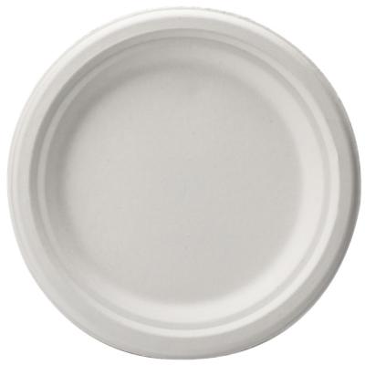 China Compostable 10