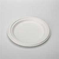 China Compostable 10