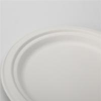 China Compostable 10