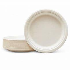 China 2 Compartment Renewable Paper Sugarcane Disposable Plates For Table Serving for sale