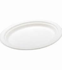 China Multi Compartments 280mm Sugarcane Pulp Plates Compostable Tray for sale