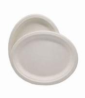China Microwavable 155mm Sugarcane Catering Plates Customized Food Contact Safe for sale