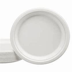 China 3 Compartment Sugarcane Pulp Plates Waterproof  10