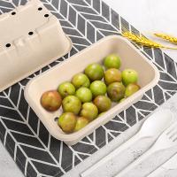 China Biodegradable Bagasse Fruit Box with Holes for Party Fruit Store for sale