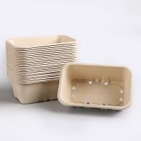 China Biodegradable Bagasse Fruit Box with Holes for Party Fruit Store for sale