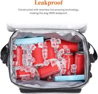 China Lightweight Portable Insulated Cooler Bags Double Layer for sale