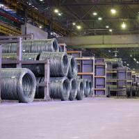 China Cold Drawn High Carbon Spring Steel Wire Sae 1006 1008 Low Carbon Steel Wire for sale