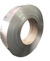 China Hastelloy B2 Nickel Alloy Coil Strip Roll Nickel Molybdenum Alloy for sale