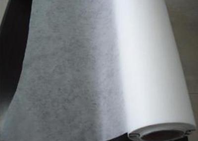 China 100% Non Woven Polypropylene Fabric Eco - Friendly Convenient for sale