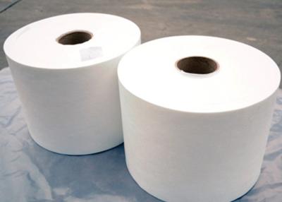 China Spunbond Non Woven Polyester Fabric For Garden Agriculture Furniture Medical for sale