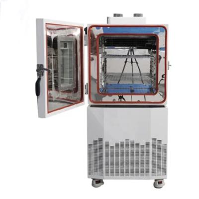 China OEM Low Temperature And Humidity Environment Climate Test Chamber 100L for sale
