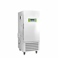 China Hospital Ambient Temperature And Humidity Test Artificial Climate Chamber for sale