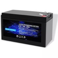 China 12.8V 10Ah Lithium Phosphate Battery Built In LiFePO4 Rechargeable Battery for sale