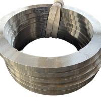 China Stellite 6 Butterfly Valve Seat Ring Butterfly Valve Seat for sale