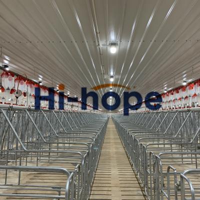 China Automatic Piggery Farm Disc Chain Feeding Equipment For Sale for sale