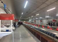 China HI HOPE 20 Holes Poultry Egg Collection System 2.44*0.86*0.61m for sale