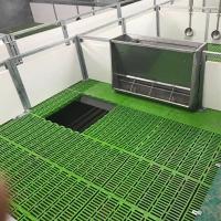 China Poultry Goat Farming Slatted Floor 0.4*0.4m 0.4*0.6m for sale