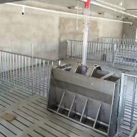 China HI HOPE Piggery Farm Equipment Finisher Finishing Pen Crate for sale