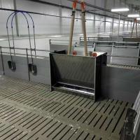 China Weaned Piglet Nursery Crate 2.4*1.8*0.7m Piggery Tools And Equipments for sale